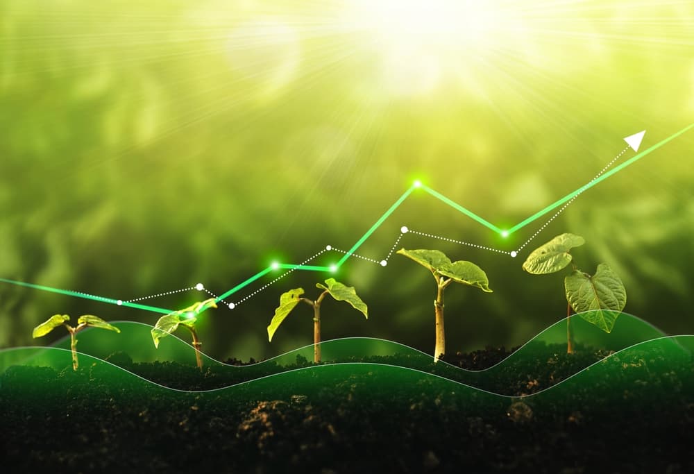 What are the Types of Controlled Environments? | Bract & Pistil