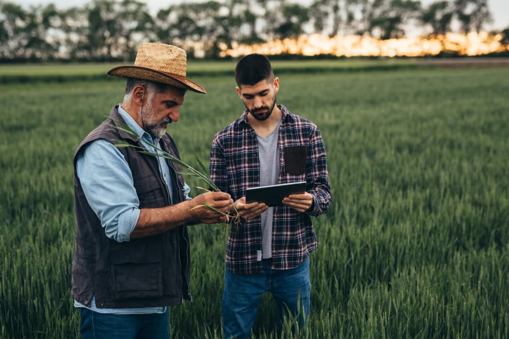 What Services Does Agricultural Consulting Cover | Bract & Pistil
